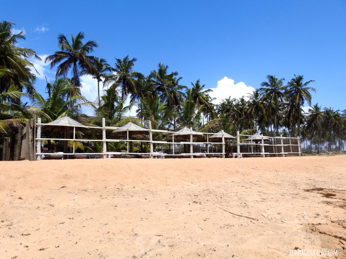 Que Se Passe-T-Il À Jacqueville En Côte D’Ivoire – WOQTDI