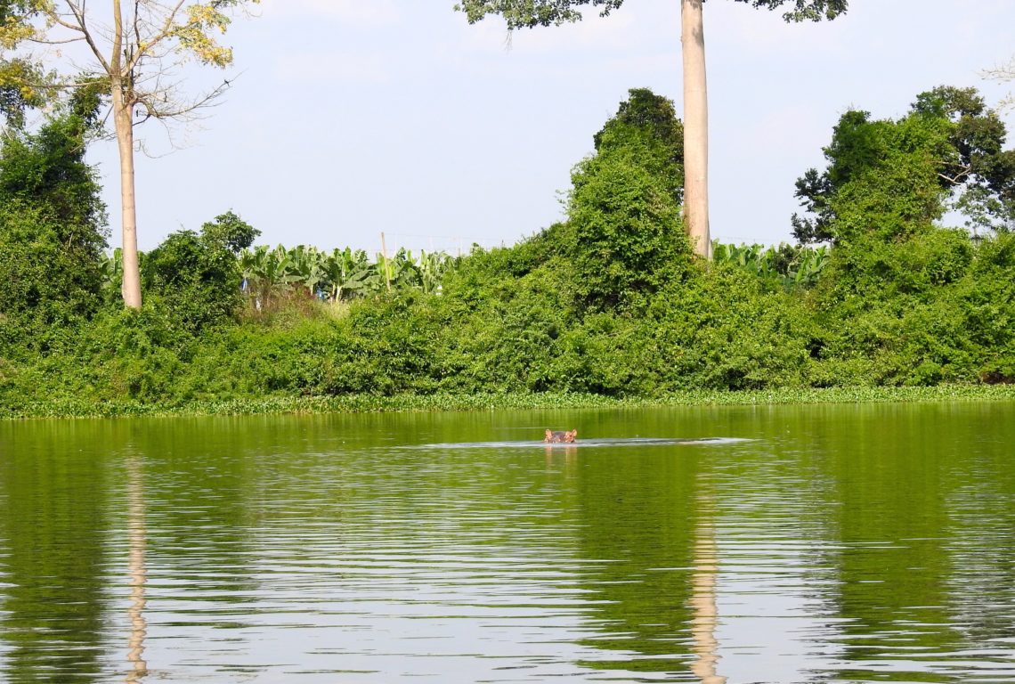 Que faire à Tiassalé – Le voyage du Calao