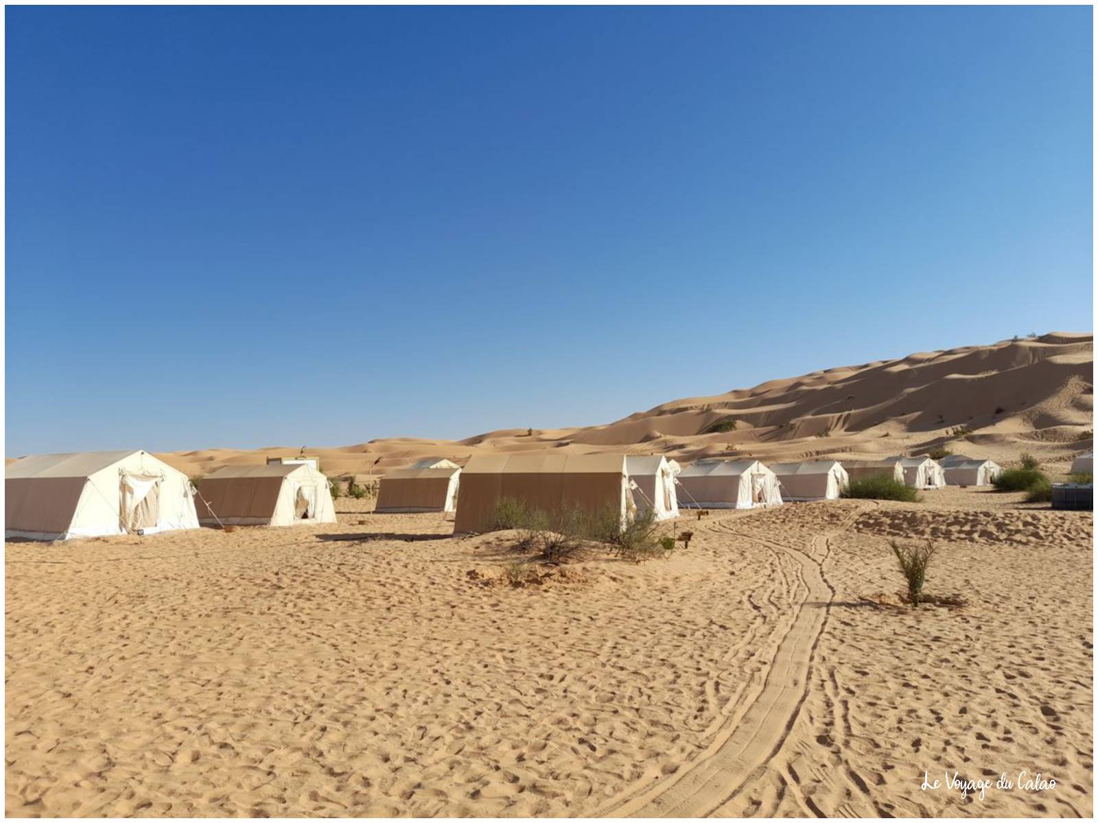 Road-trip en Tunisie : itinéraire du nord au sud – Le voyage du Calao